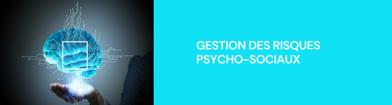 Gestion des Risques Psychosociaux - ® Lyon Médiation